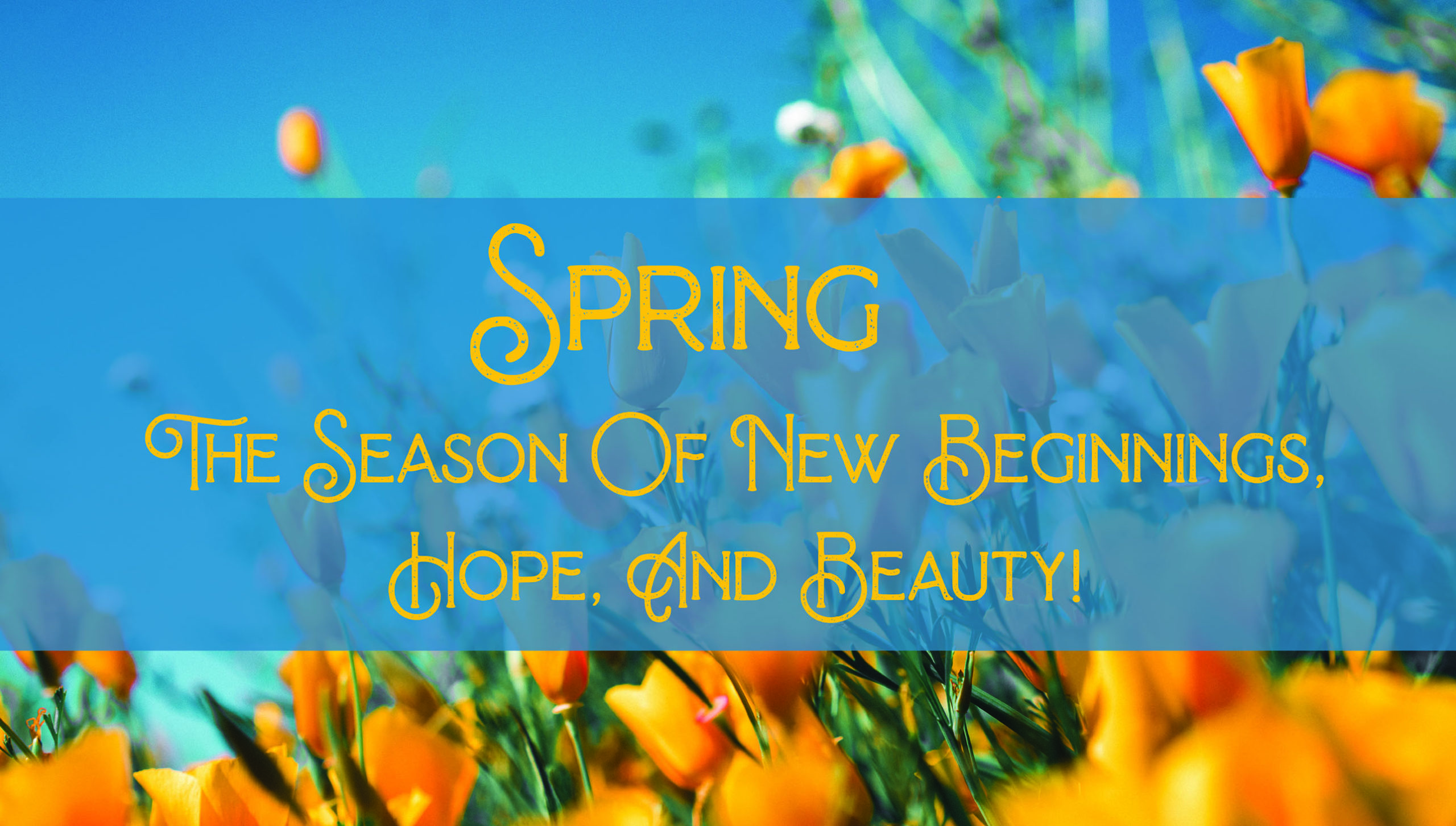 SPRING, THE SEASON OF NEW BEGINNINGS, HOPE, and BEAUTY! – Essence Laser