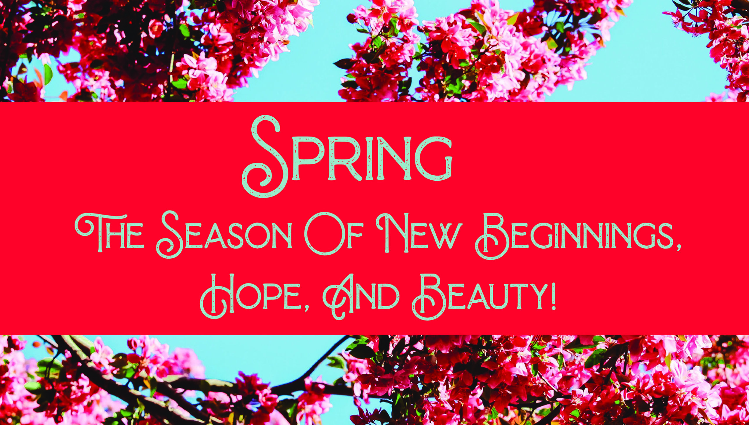 SPRING, THE SEASON OF NEW BEGINNINGS, HOPE, and BEAUTY! – Essence Laser