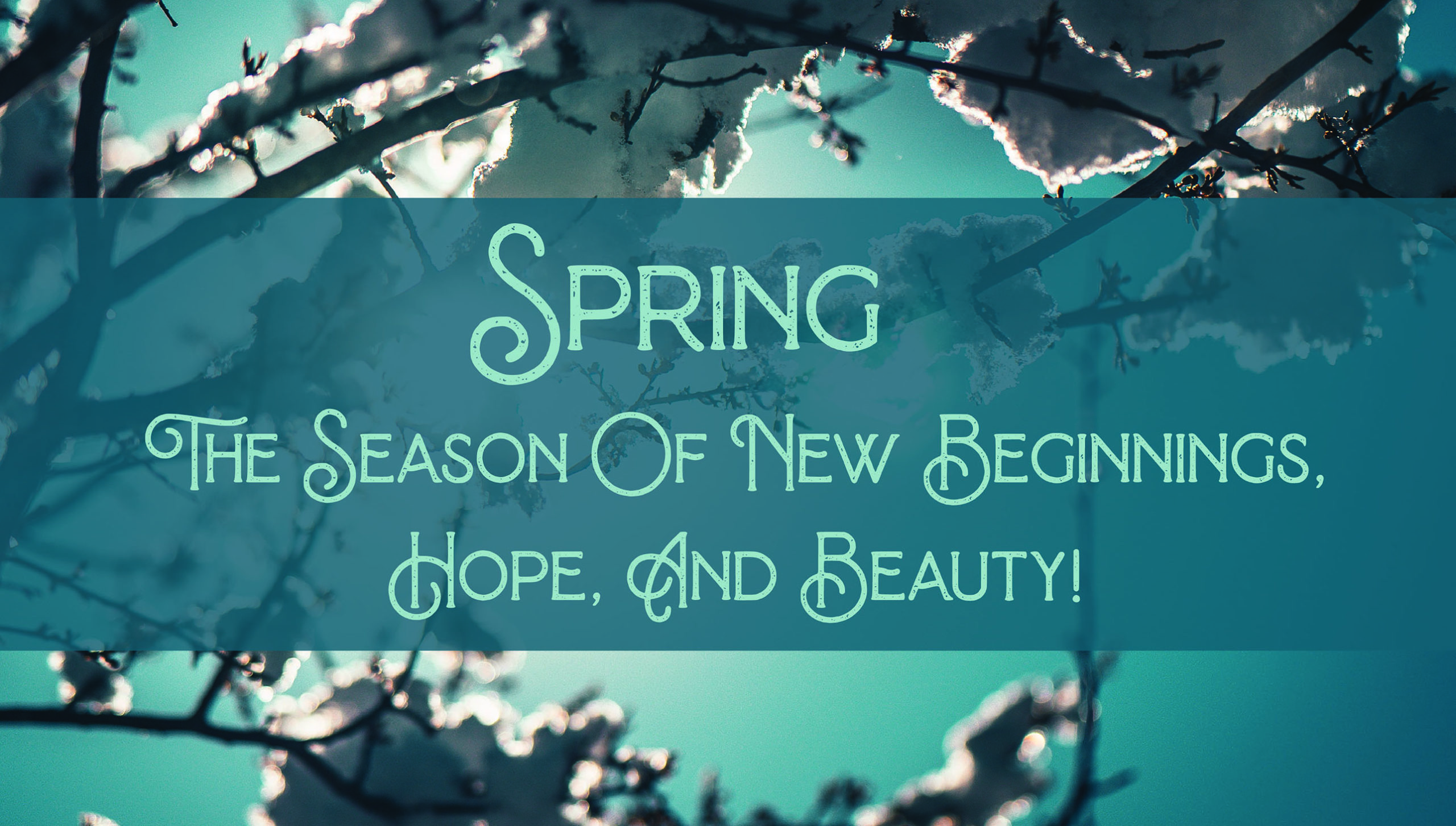 SPRING, THE SEASON OF NEW BEGINNINGS, HOPE, and BEAUTY! – Essence Laser